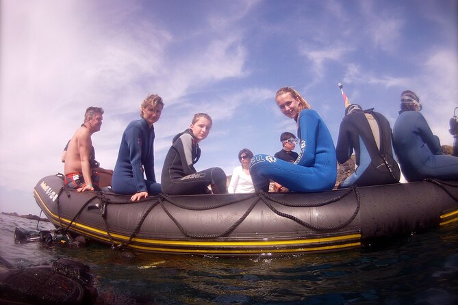 Try Scuba Diving in a Turtle Area (Boat) - Explore Tenerifes Southern Coast by Boat