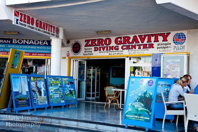 Try Scuba Diving in a Turtle Area (Boat) - Included Equipment and Personalized Instruction