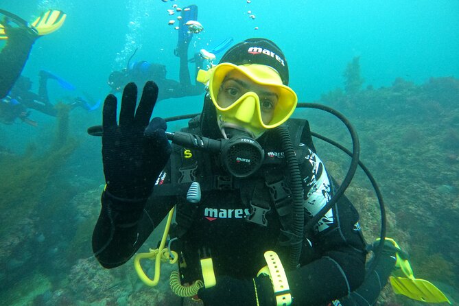 Try Scuba Diving in Arrabida Natural Park (Near Lisbon) with pictures - Authenticity and Reviews