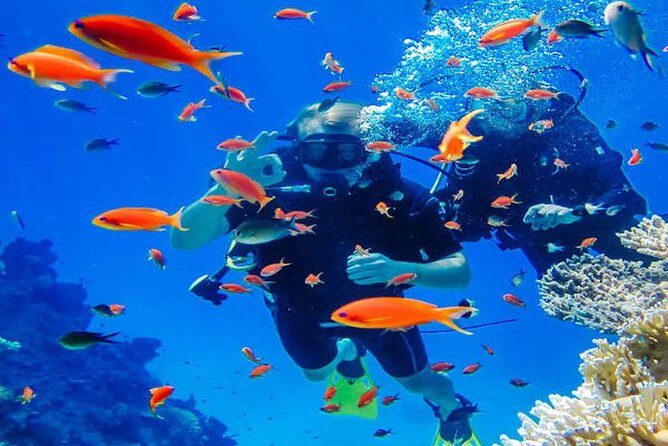 Try Scuba Diving In Havlock - What the Experience Offers