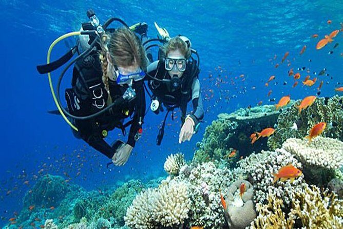 Try Scuba Diving In Havlock - Why This Tour Stands Out