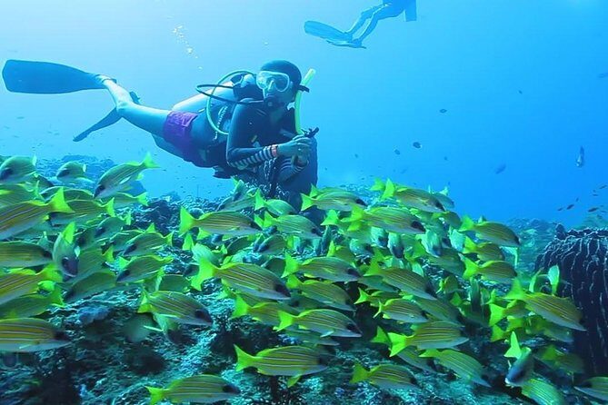 Try Scuba Diving In Havlock - Final Thoughts: Who Should Book This?