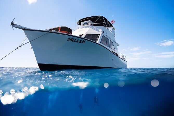 Try Scuba Diving in Kauai From a Boat for Non-Certified Divers - What to Expect at Each Stage