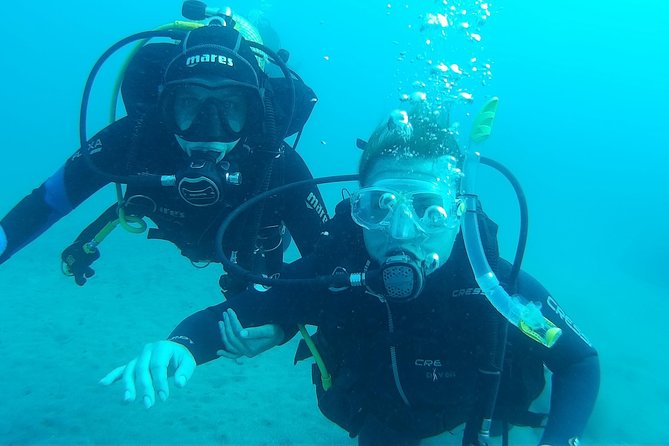 Try Scuba Diving in Lanzarote (No Experience Needed) - Discovering the Underwater World