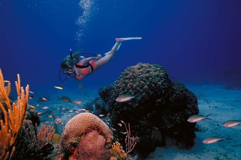Try Scuba Diving in Racha Yai/noi: 3 Dives for Non-Certified - What to Expect on the Day