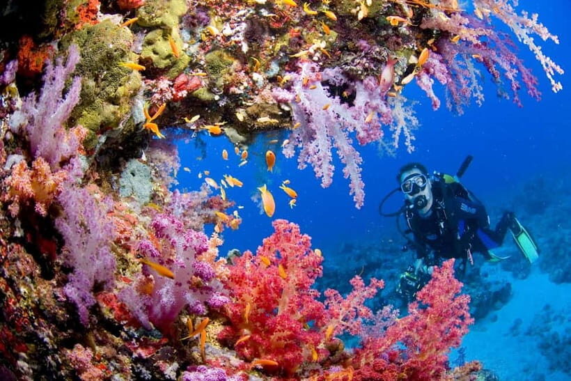 Try Scuba Diving in Racha Yai/noi: 3 Dives for Non-Certified - Food, Comfort, and Overall Atmosphere