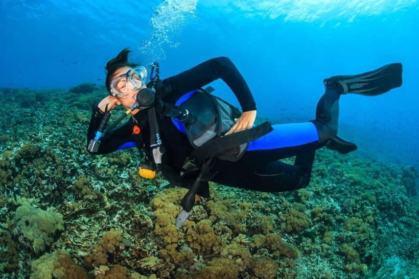 Try Scuba Diving in Racha Yai/noi: 3 Dives for Non-Certified - The Bottom Line