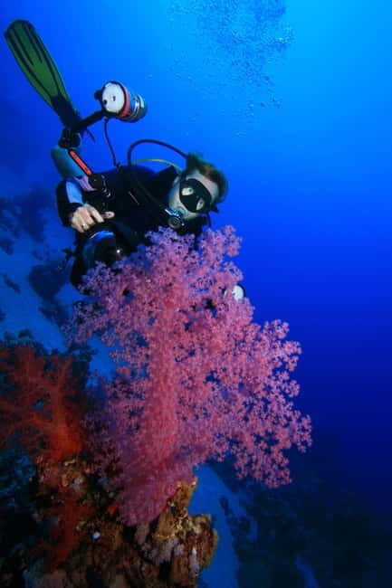 Try Scuba Diving in Racha Yai/noi: 3 Dives for Non-Certified - Frequently Asked Questions