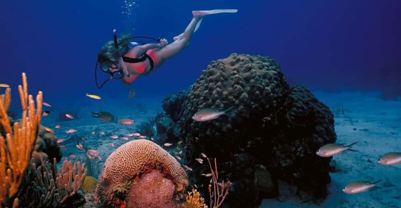 Try Scuba Diving in Racha Yai/noi: 3 Dives for Non-Certified - What You’ll Love About This Tour