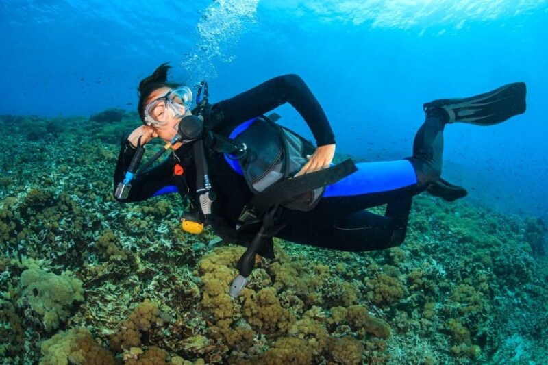 Try Scuba Diving in Racha Yai/noi: 3 Dives for Non-Certified - What to Expect During Each Part of the Day