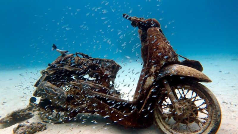 Try Scuba Diving in Racha Yai/noi: 3 Dives for Non-Certified - Final Thoughts