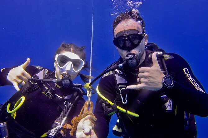 Try Scuba Diving on Kauai with Sea Turtles - Who Should Consider This Tour?