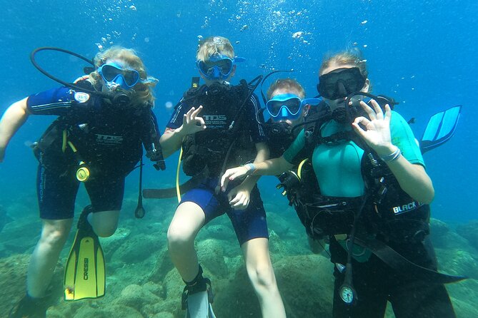 Try Scuba Diving Puerto Colon - Who Will Appreciate This Tour Most?