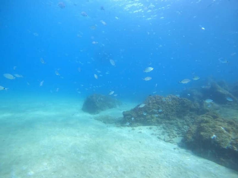 TRY SCUBA - Experience for beginners - Introduction: Why Try Scuba in Lanzarote?