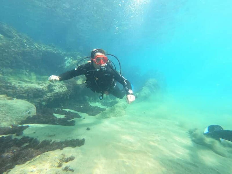 TRY SCUBA - Experience for beginners - Pricing and Value