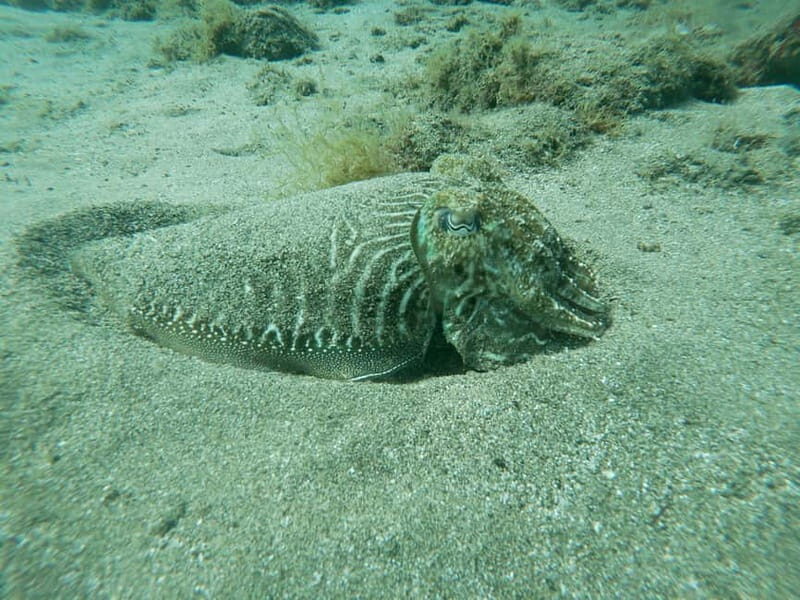 TRY SCUBA - Experience for beginners - Who Will Love This Experience?