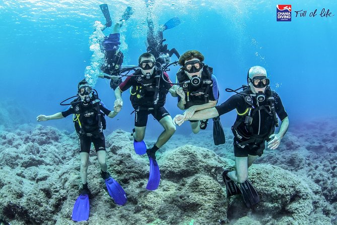 Try Scuba in Crete With Free Certification and Underwater Photos - Traveler Satisfaction and Reviews