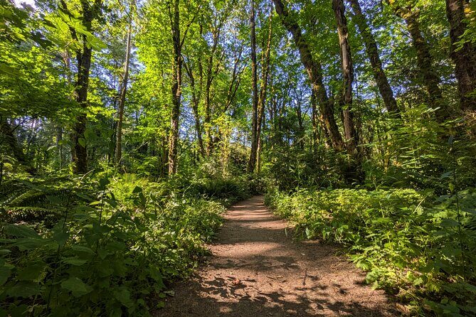 Tryon Creek Eco-tour With a Master Naturalist - Explore Portland’s Natural Gem: Tryon Creek Eco-tour With a Master Naturalist