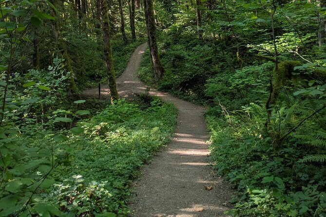 Tryon Creek Eco-tour With a Master Naturalist - Key Points