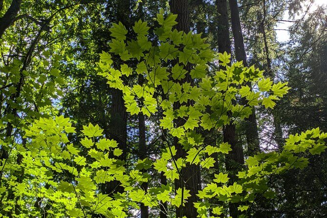 Tryon Creek Eco-tour With a Master Naturalist - Final Thoughts: Is It Worth It?