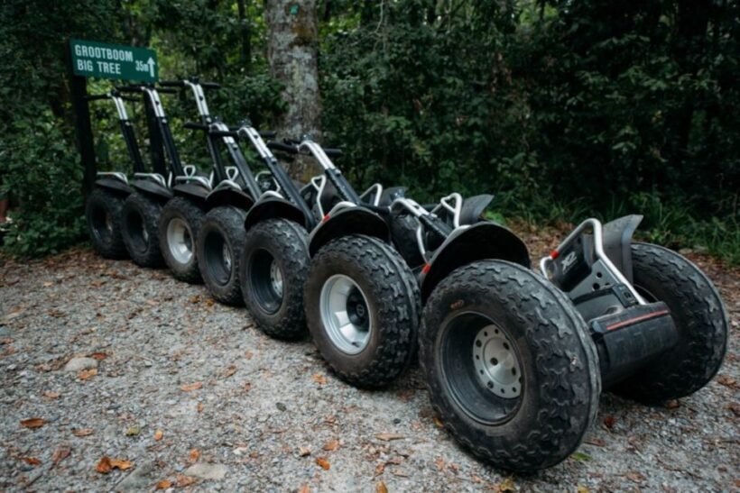 Tsitsikamma National Park: 1 or 2-Hour Segway Tour - Who Should Consider This Tour?