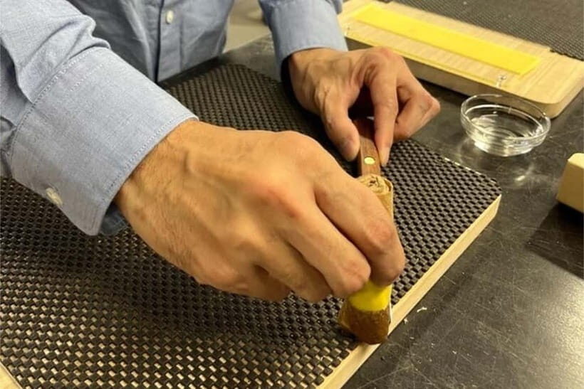 Tsubame Sanjo Fruit Knife Making Tour with Licensed Guide - Introduction