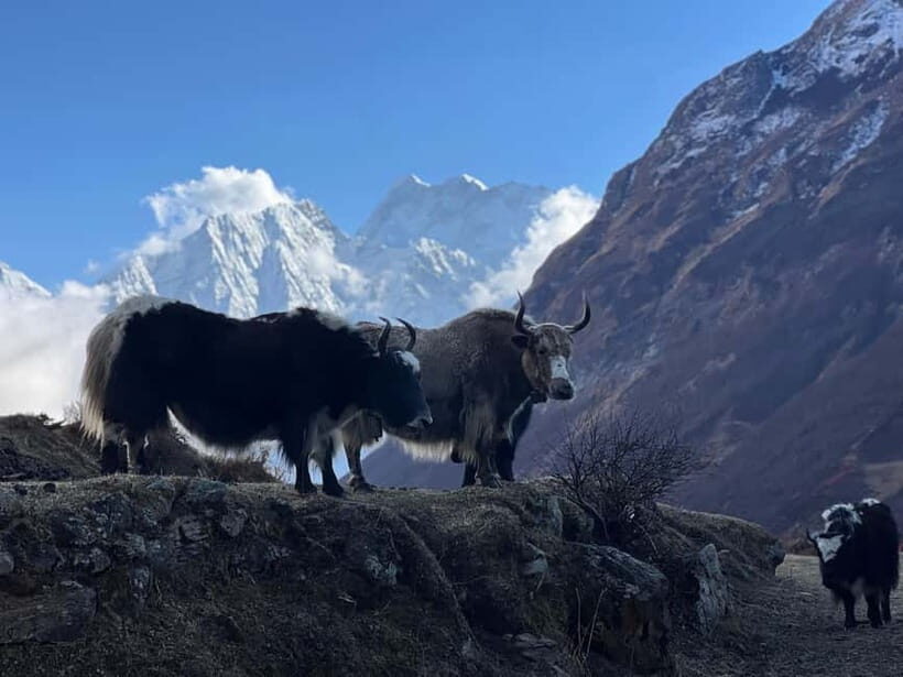 Tsum Valley: 16-Day Trek - Final Thought