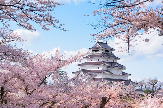 Tsuruga Private Customizable Full Day Tour - Key Points