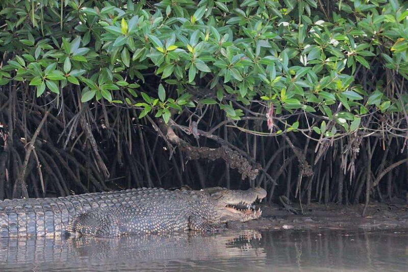Tuaran, Sabah: Mengkabong Paradise - Introduction