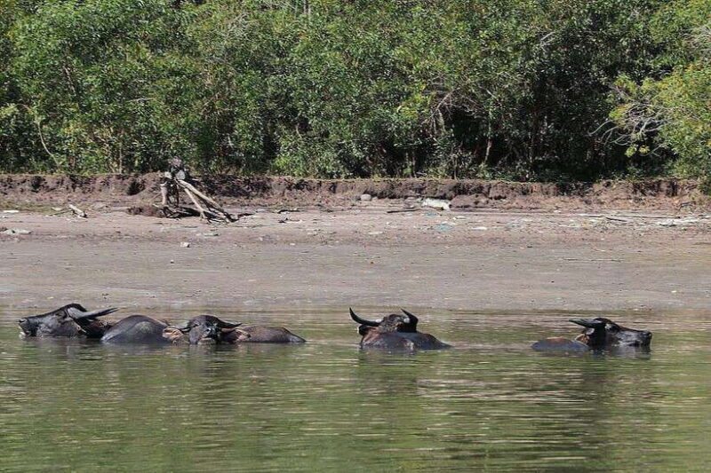 Tuaran, Sabah: Mengkabong Paradise - The Experience in Detail