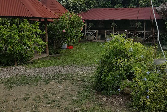 Tubing,Lunch and Shopping from Ocho Rios - Detailed Breakdown of the Itinerary