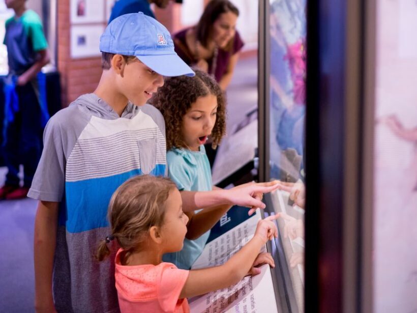 Tucson: Flandrau Science Center Entry Ticket - Who Should Visit?