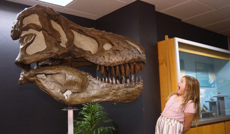 Tucson: Flandrau Science Center Entry Ticket - The Night Experience and Special Events