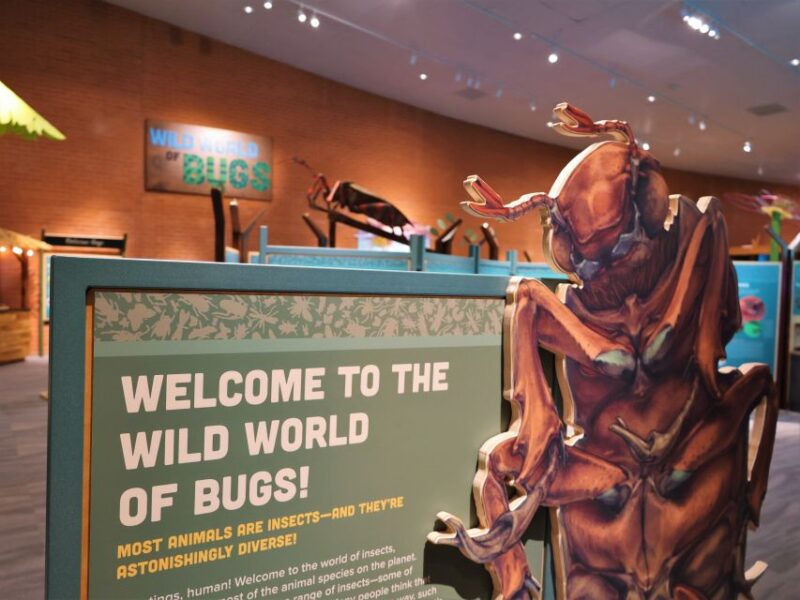 Tucson: Flandrau Science Center Entry Ticket - Practical Tips for Visitors