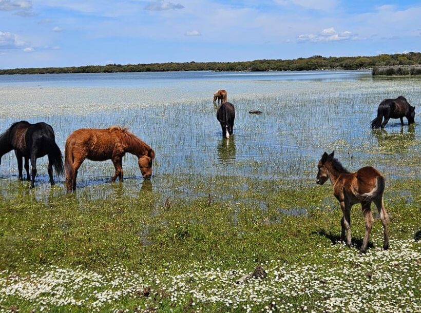 Tuili: Wild Giara Tour - The Hike: What You’ll Experience
