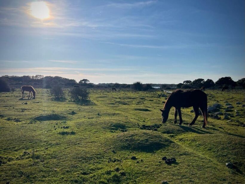 Tuili: Wild Giara Tour - Authenticity and Practicality