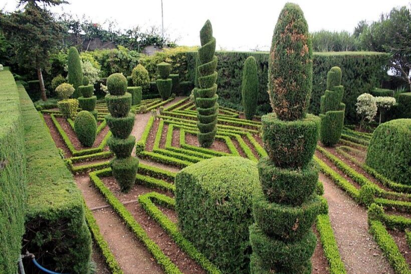 Tuk Tuk Botanical Garden - Madeira Island - Exploring Madeira’s Green Paradise: A Review of the Tuk Tuk Botanical Garden Tour