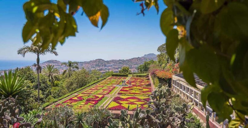 Tuk Tuk Botanical Garden - Madeira Island - Who Should Consider This Tour?