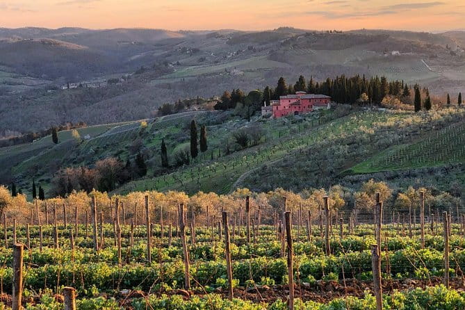 Tuk tuk in Chianti - Authentic and Well-Reviewed by Travelers