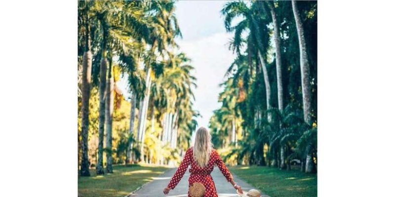 Tuk Tuk Kandy City Tour By Local Guide - Final Thoughts: Why Choose This Tour?