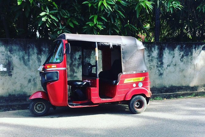 Tuk Tuk Rentals - Key Points