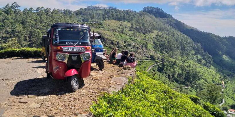 Tuk-Tuk Safari Liptons seat,Tea Fields Hike,TeaFactory Tour - Who Will Love This Tour?
