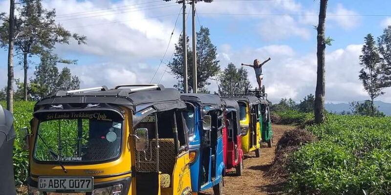 Tuk-Tuk Safari Liptons seat,Tea Fields Hike,TeaFactory Tour - The Sum Up