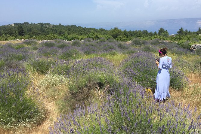 Tuk Tuk Sightseeing Tour of Hvar - Exceptional Guide Service and Personalized Experience