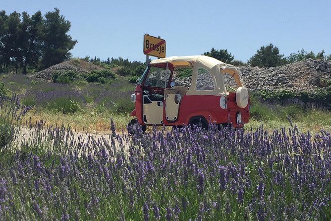 Tuk Tuk Sightseeing Tour of Hvar - Feedback and Recommendations From Previous Guests
