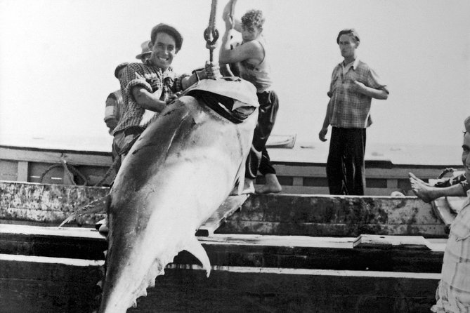 Tuk Tuk Tour Tavira Total - 2h00 - Includes Tuna Museum and Fishing Village - Local History and Insights