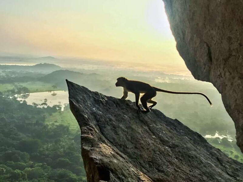 Tuk Tuk tour to Mihintale at Anuradhapura - Final Thoughts