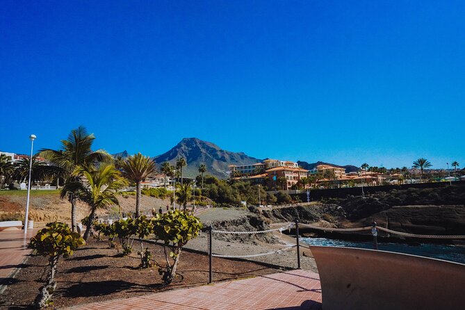 Tuk Tuk Tours in Costa Adeje - Meeting Point and Logistics