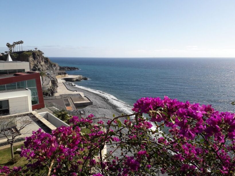 Tuk Tuk Wine Tour - Madeira Island - Introduction