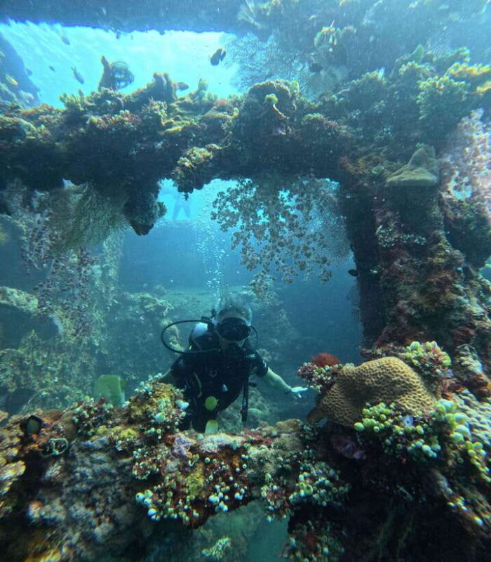 Tulamben Liberty Wreck 3 dives daytrip from South Bali - Practical Tips for Prospective Participants